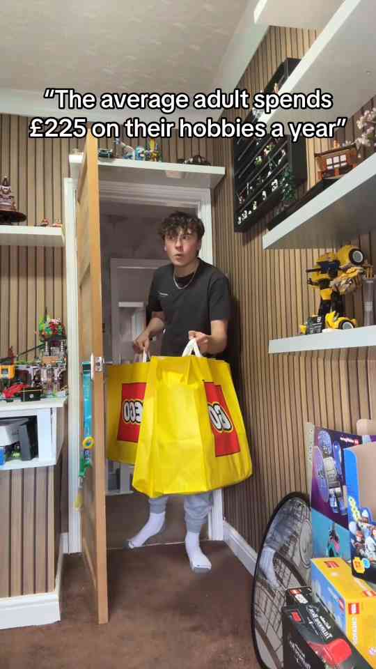 Just an Average Adult Living the LEGO Life Every Day