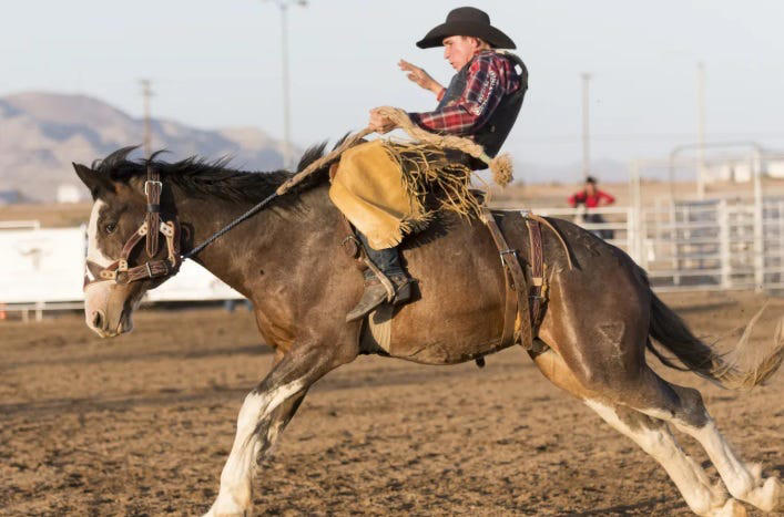 Hesperia Days brings weekend fun with parade, rodeo, concert and ...