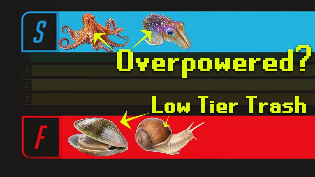 The Ultimate Mollusk Tier List Ranked From Weakest to Strongest