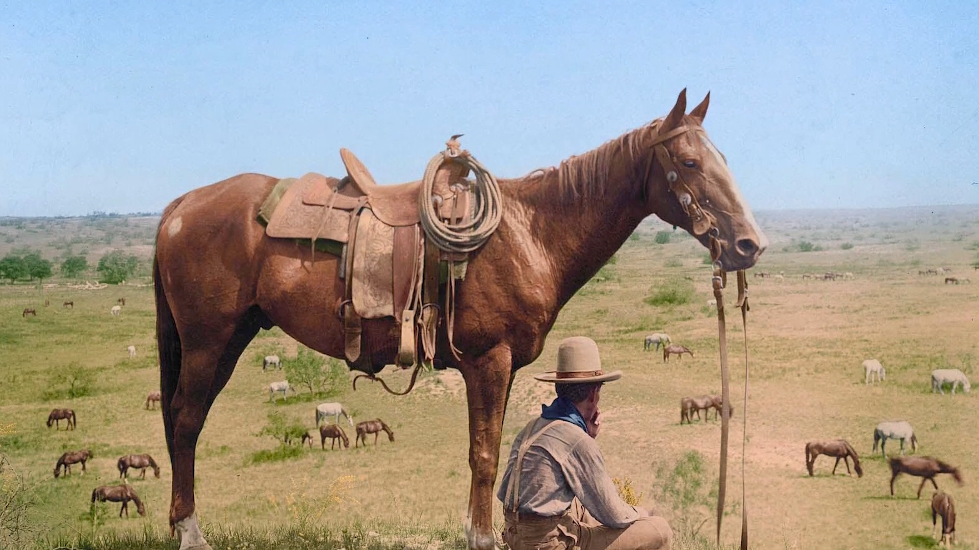 The Black Cowboy Who Became A Wild West Legend