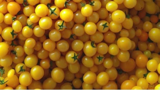 Optical illusion: You’ve got eagle eyes if you can spot the hidden ...