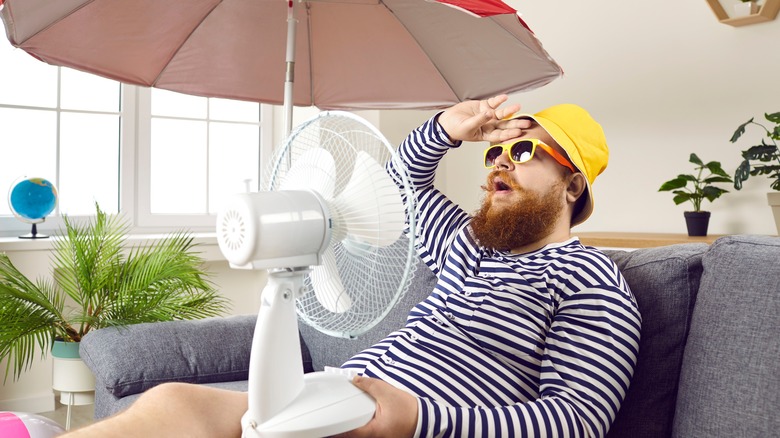 Beard Myths That Actually Aren't True