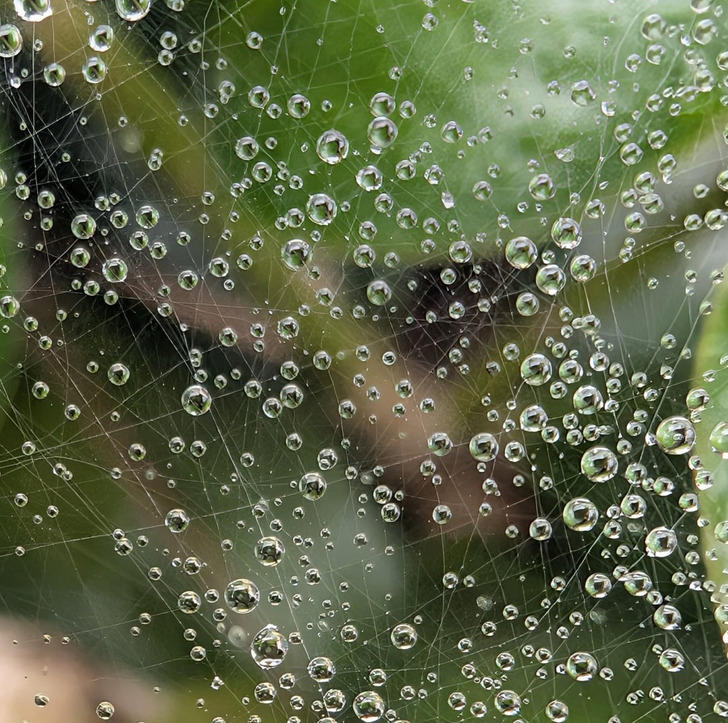 20 Photos That Prove Nature Is Full of Magic
