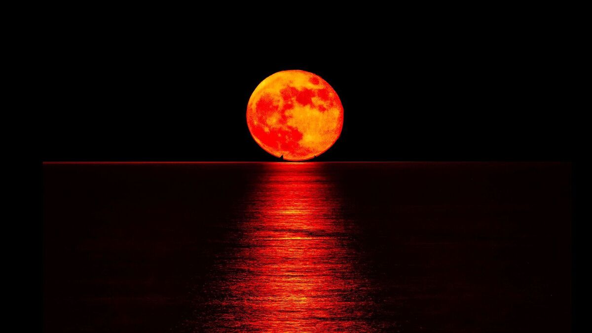 Rare 'Blood Moon' total lunar eclipse set to light up Irish skies this ...