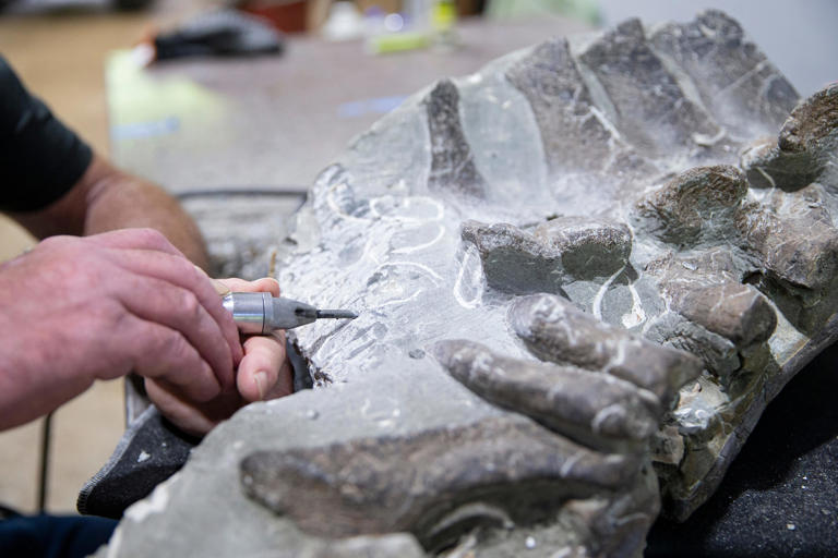 Unearthed treasures: Newport amateur collector has largest trove of ...
