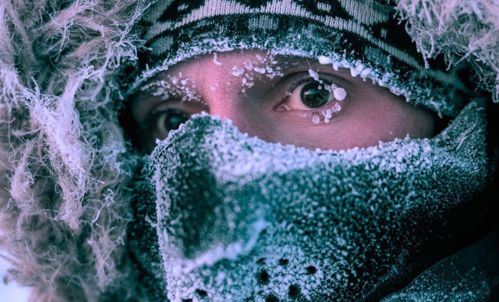 ‘It Keeps the Surface Cooler—Until It Melts’: Scientists Warn an Arctic ...