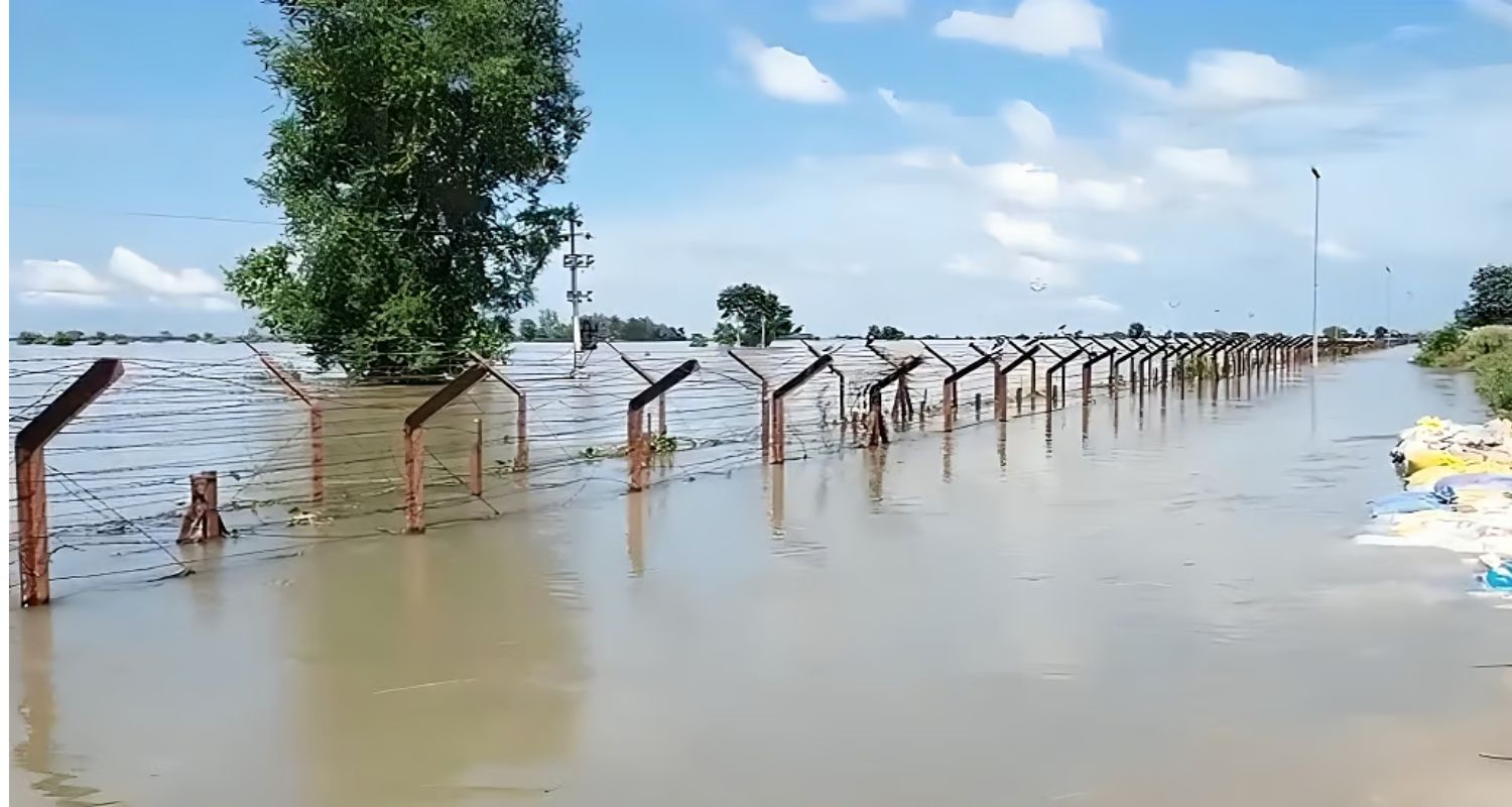 Border pillars, fencing submerged in Ferozepur
