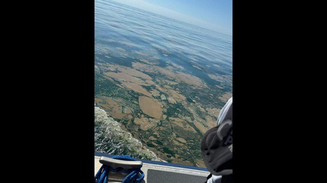 The ocean may be toxic off NC beach town, officials say. What's behind ...