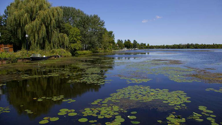 How To Catch Largemouth Bass: A Fishing Guide For Beginners