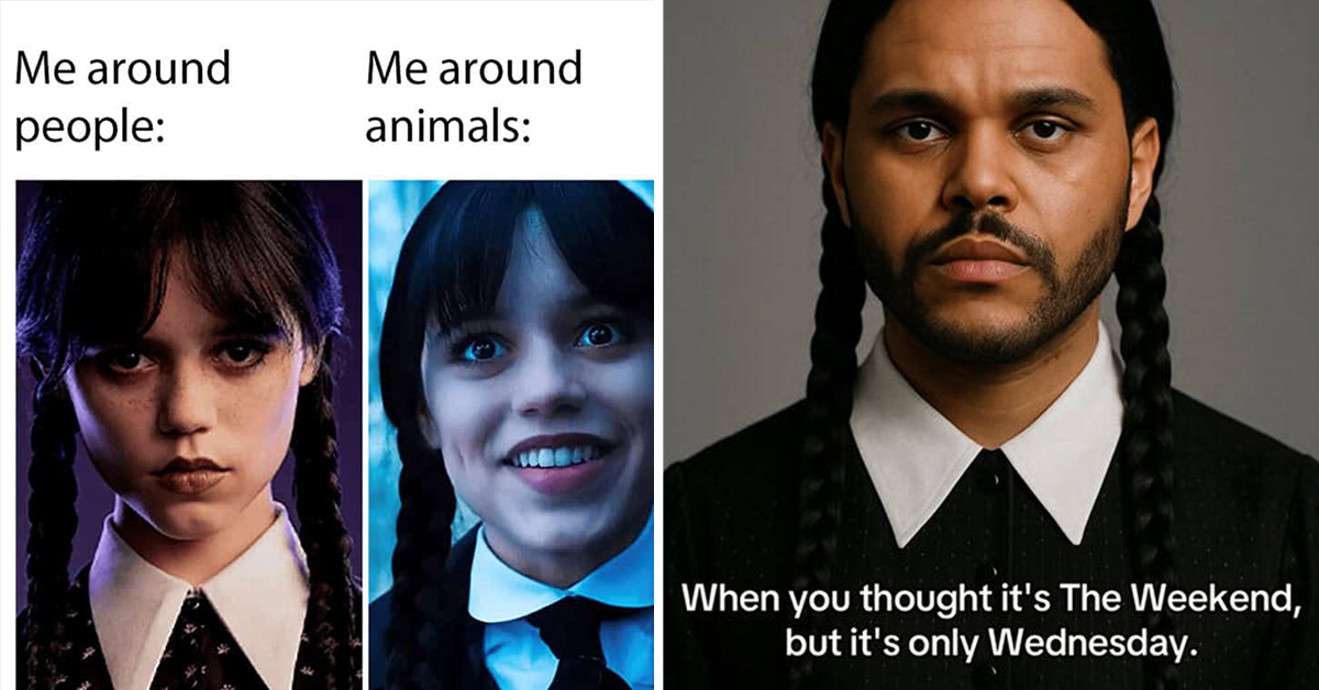 30 Funny Wednesday Addams Memes To Get You In A Dark Headspace