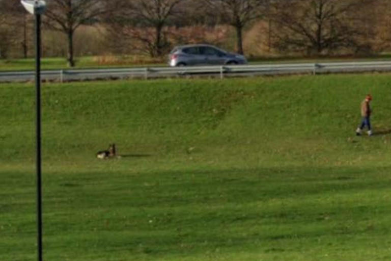 We should rename the roundabout - motorists call for permanent tribute ...