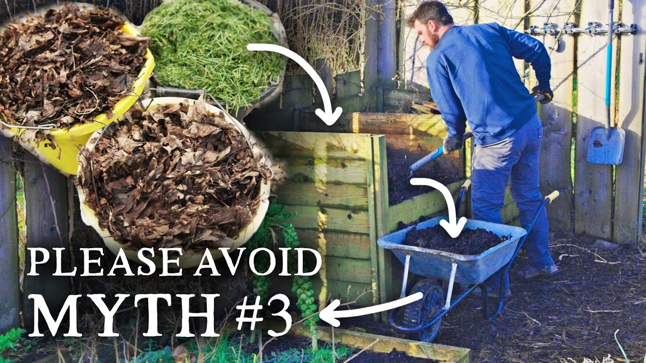 5 biggest composting myths busted