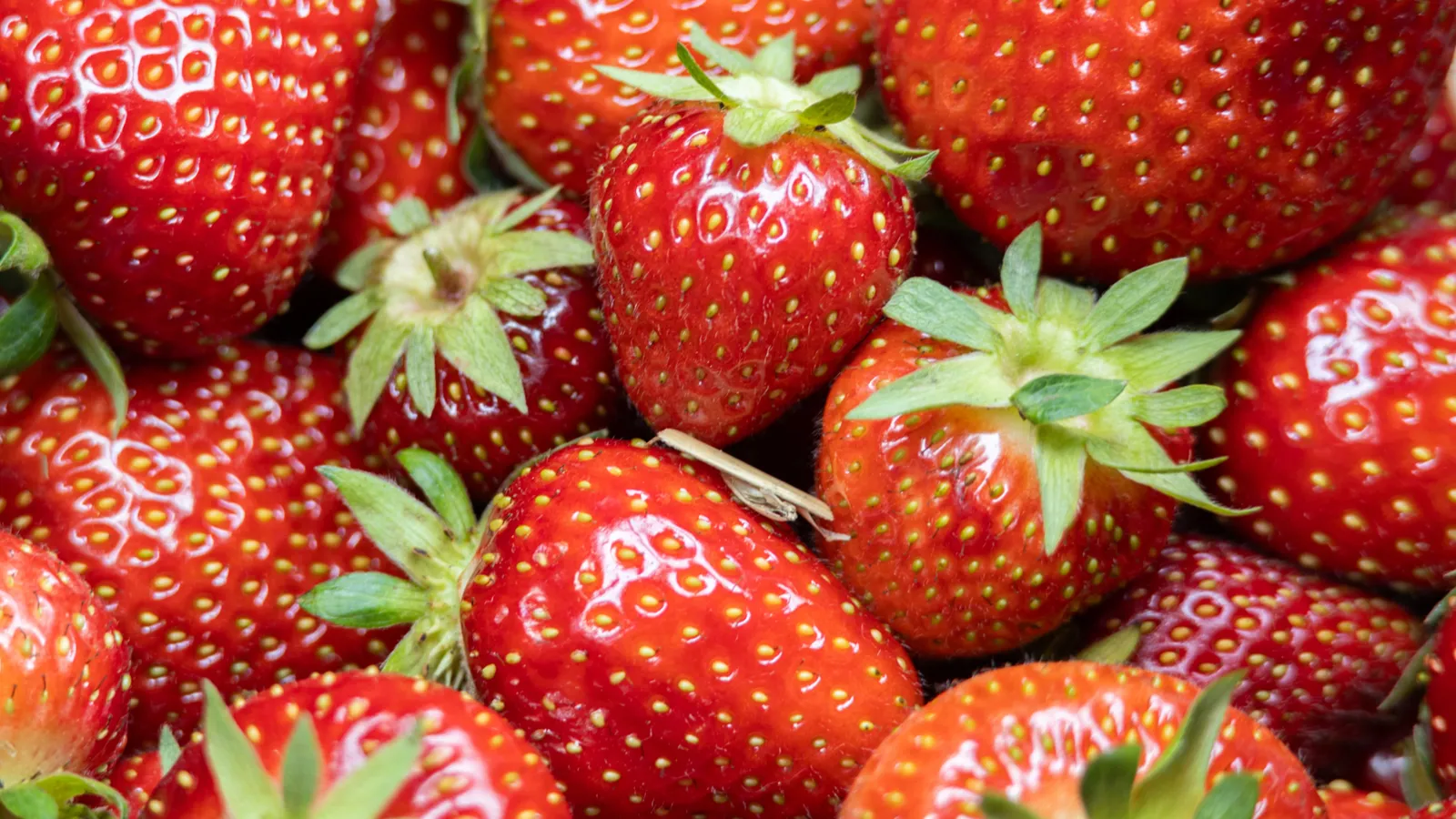 16 low-sugar fruits you’ll want all summer