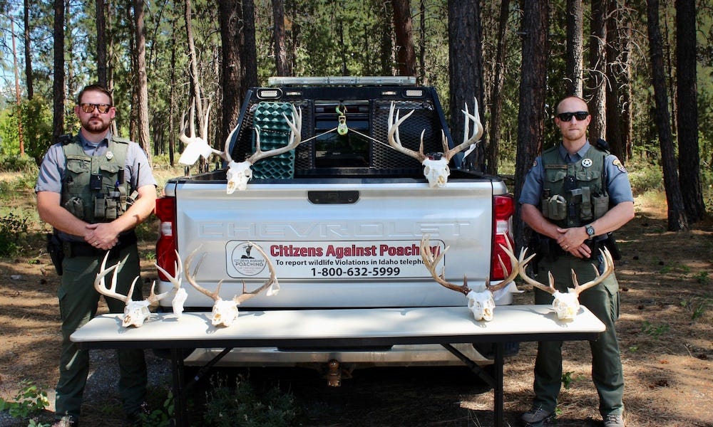 Tip regarding ‘suspicious deer heads’ leads to felony poaching charges ...