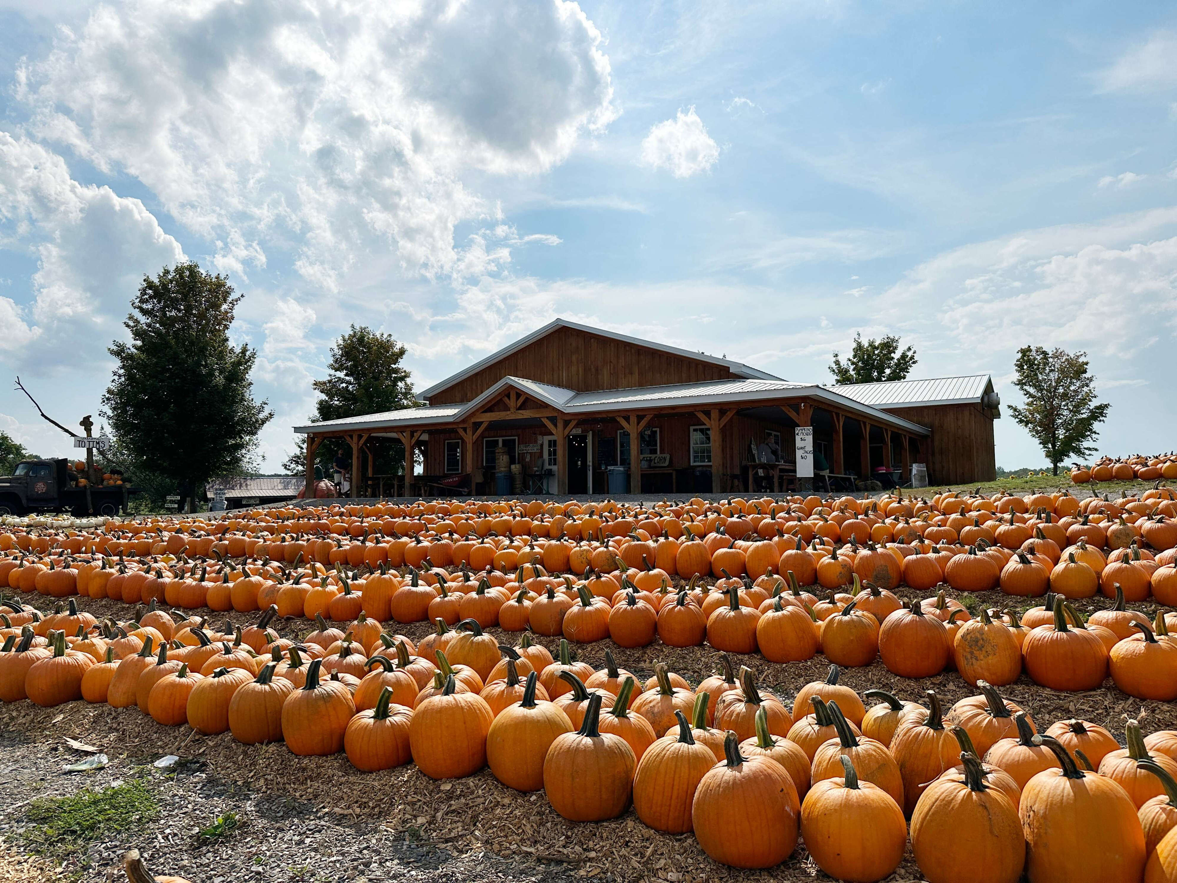 Tim’s Pumpkin Patch gets OK from town to expand and add concerts