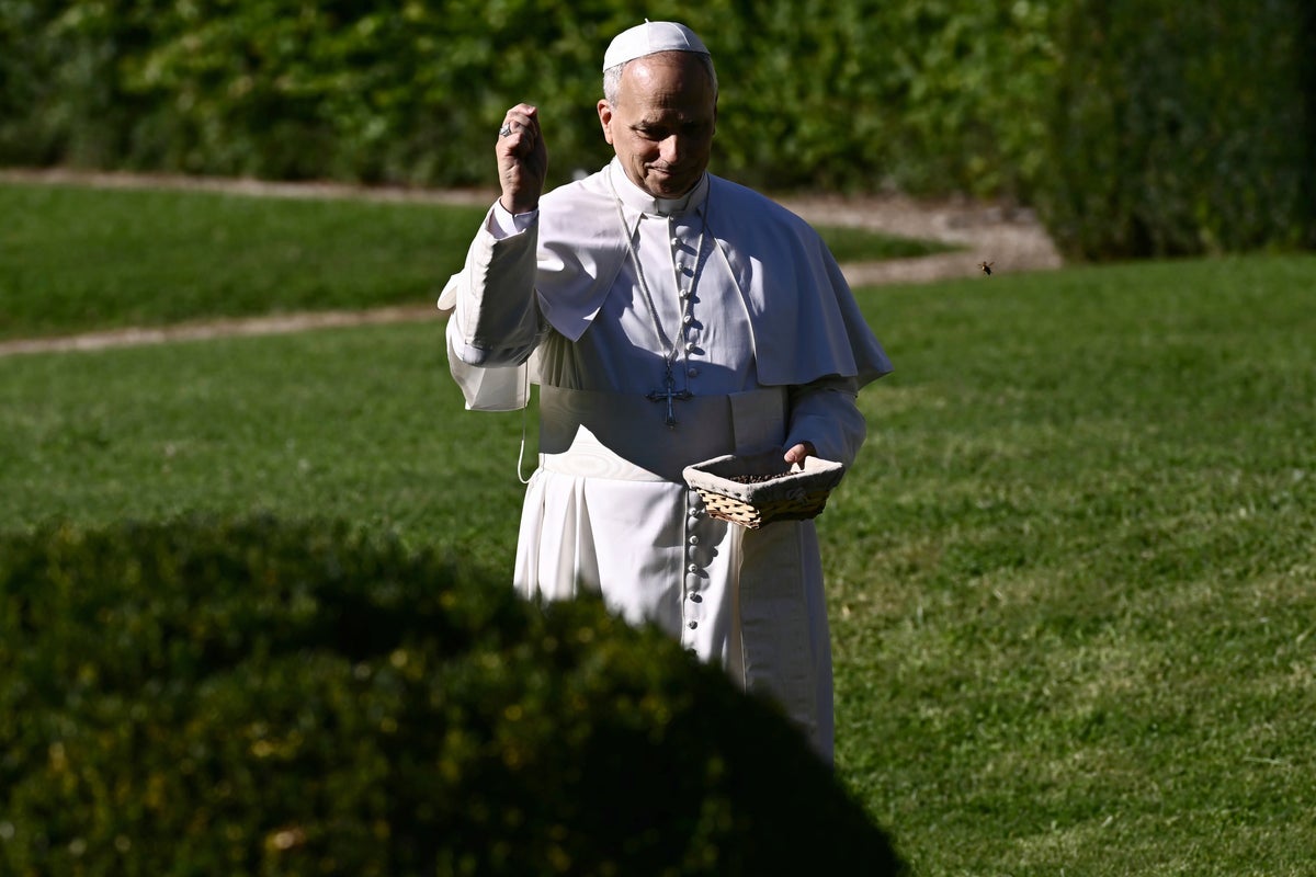 Pope feeds fish as he opens Vatican's ambitious model of sustainable ...