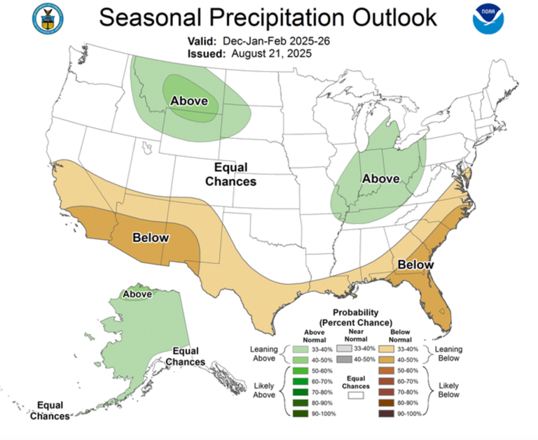 La Niña Watch Issued: What It Could Mean For FL's Winter