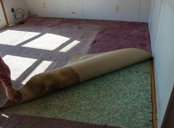 New homeowners rip up carpet and find something rather unexpected