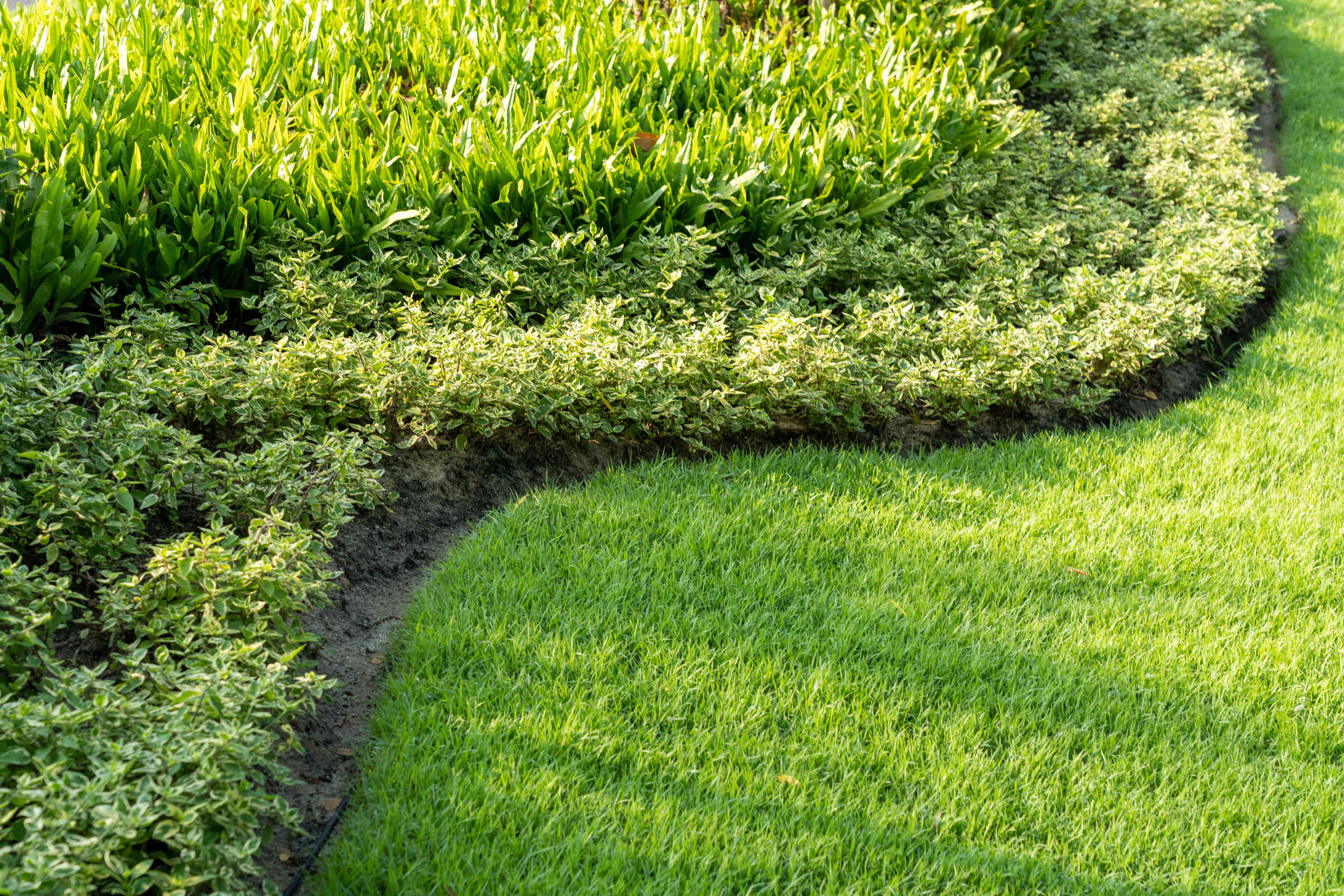 How to Edge Your Lawn the Right Way, According to Landscape Pros