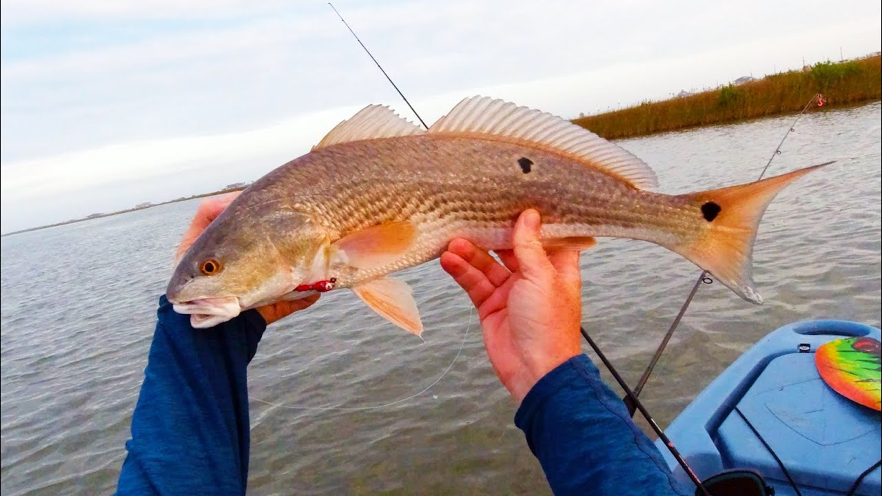 Watch what happens when kayak fishing turns into a full catch and cook