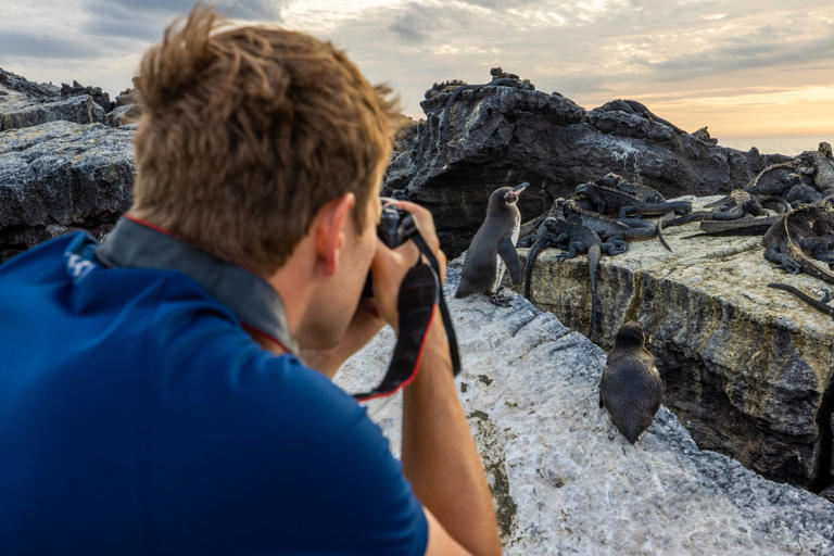 British filmmaker bertie gregory captures seoul's urban wildlife