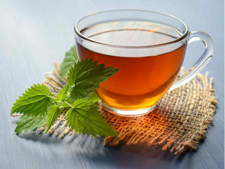 ¿Cuáles son los beneficios del té de sen? Esto dice la ciencia