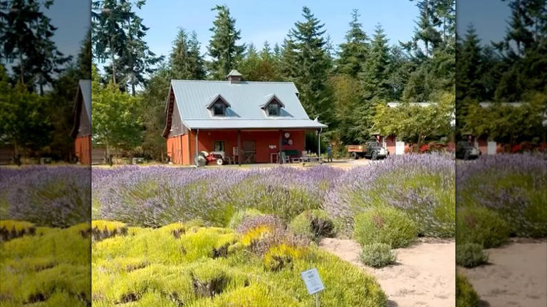 A Buzzy Washington Meadery Is An Idyllic Seattle Getaway With U-Pick ...