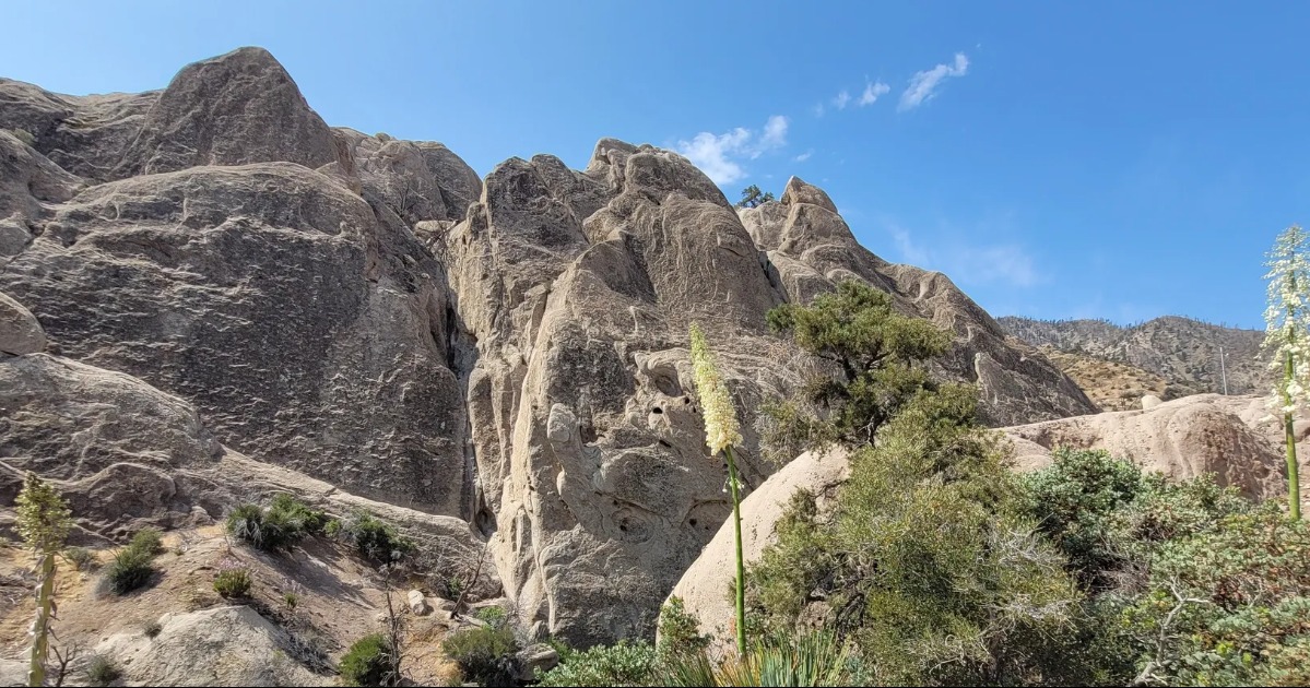 7 Underrated National Forest Hikes in Southern California