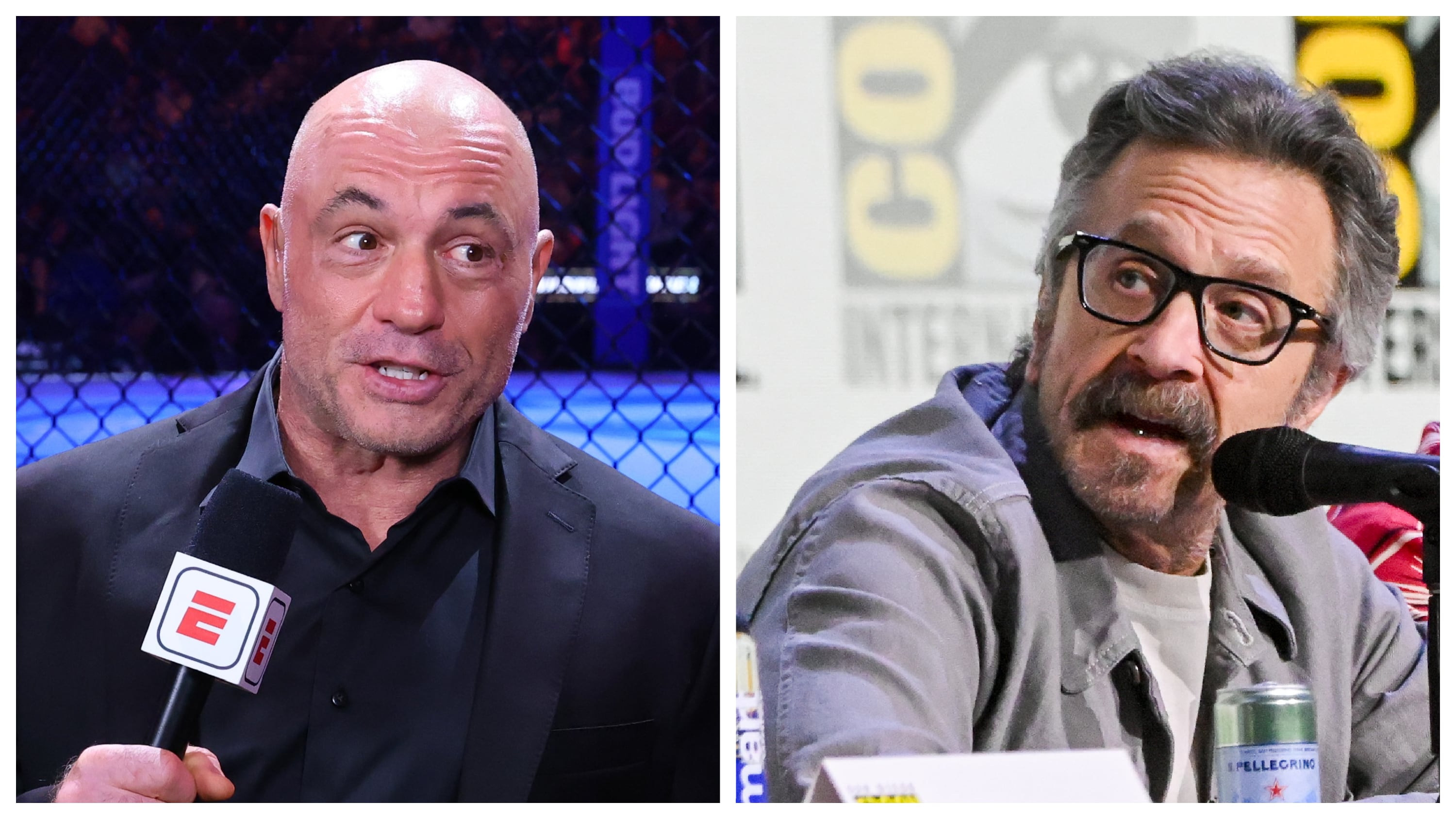 Joe Rogan Blames Marc Maron’s Cats for Their Brutal Feud