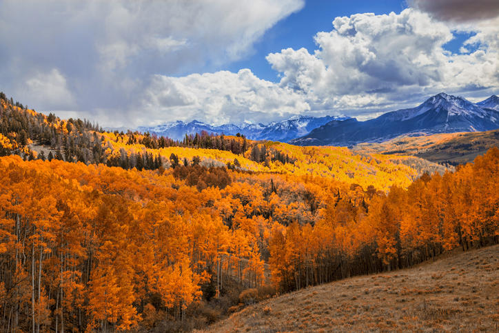 Here Are the Best Times and Places To View Colorado's Fall Foliage in 2025