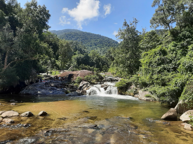 Blotchy ‘slender'-limbed creature found near tourist site. It's a new ...
