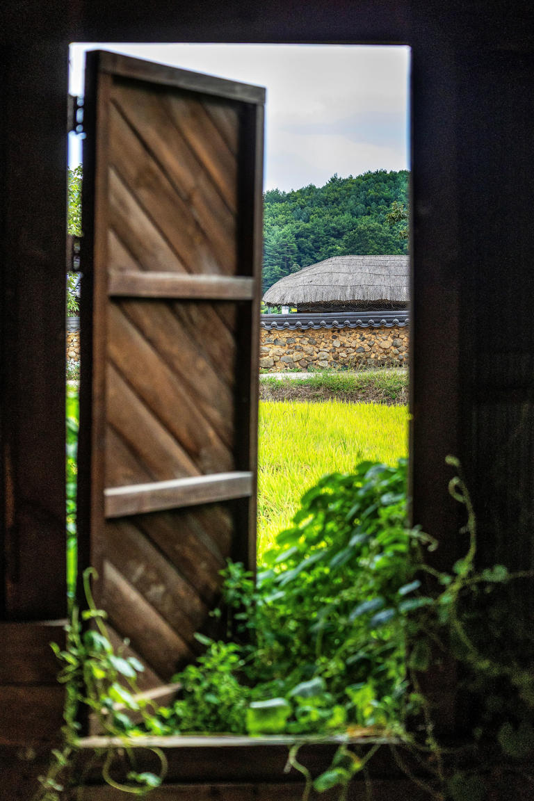 Goseong's Nth-Time Travel: Hidden Charms Await