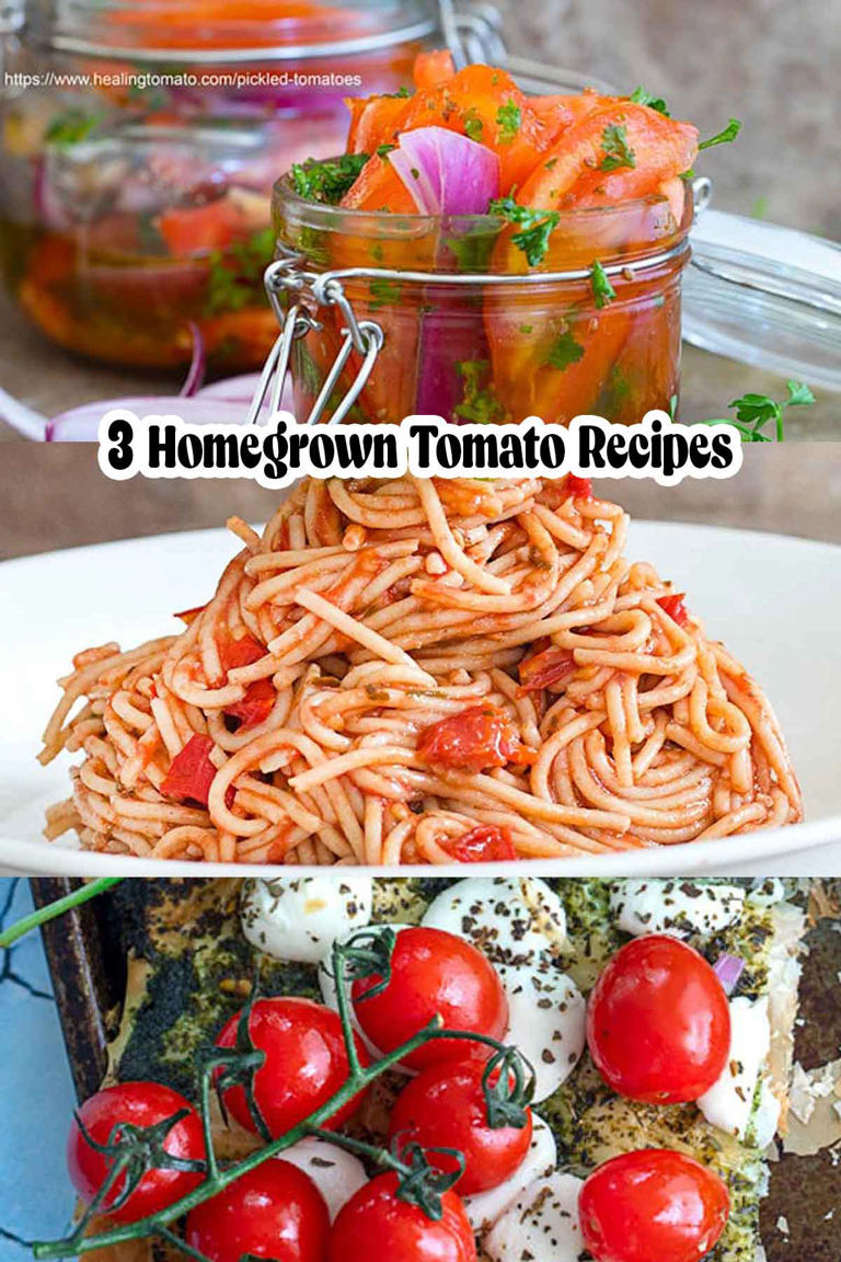 Don't Let Your Garden Gold Go to Waste! 3 Homegrown Tomato Recipes