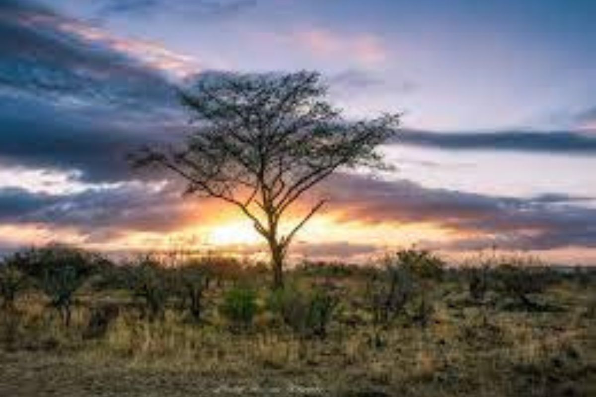 SANParks unpacks rollout of vision 2040