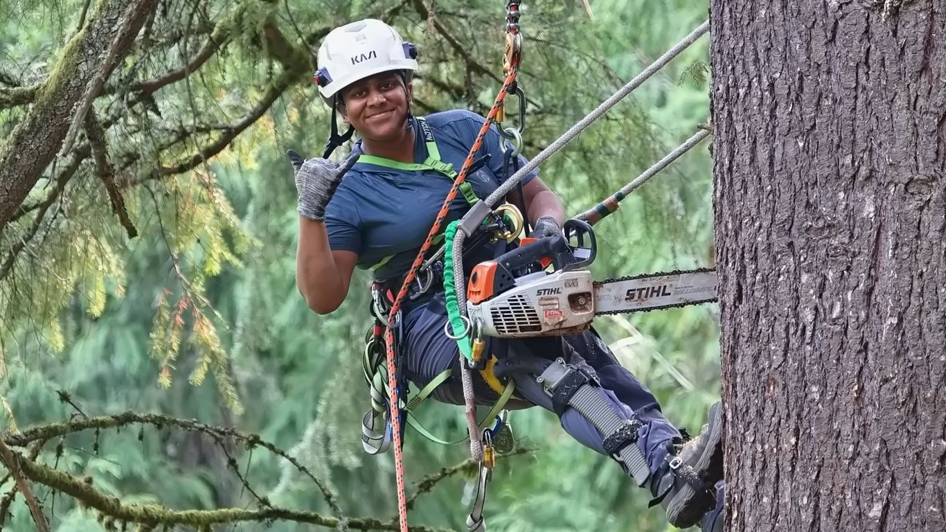 More Than 100 Arborists To Trim Climb And Prune Trees At Hoyt Arboretum