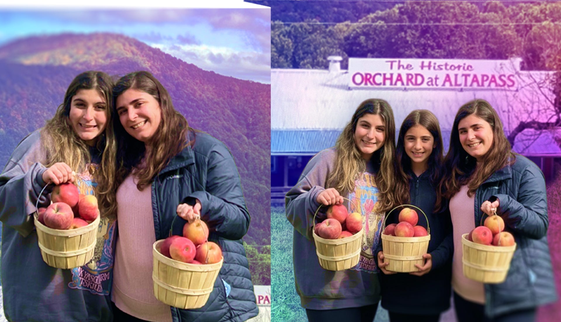 I Tried Gemini's 'Nano Bananas' for Image Editing. The AI Slipups Were ...