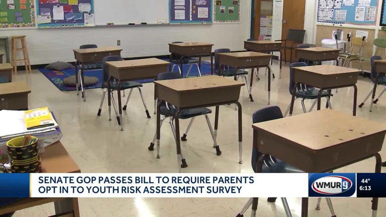 Federal judge in NH blocks law aimed at restricting DEI programs in NH ...