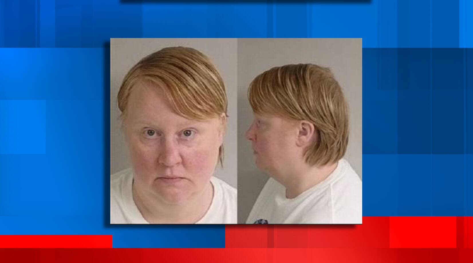 Michigan Department of Corrections mental health professional charged ...