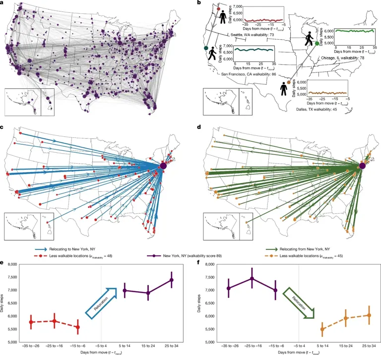 Walkable cities make you healthier: surroundings make a big difference