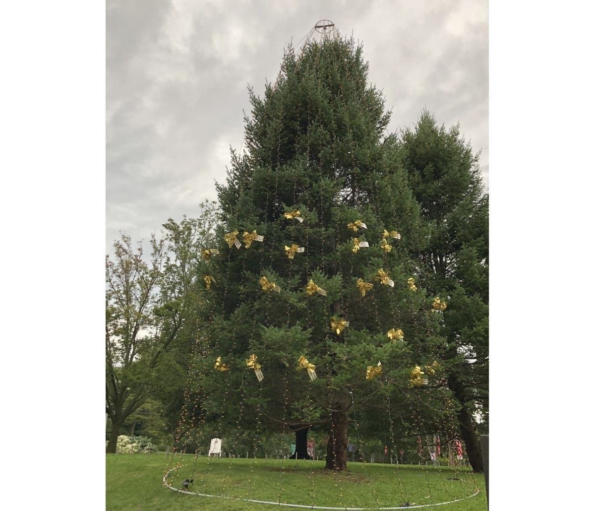 Childhood Cancer Awareness Month Tree Lighting Coming To Huntington