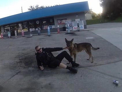 Lake Wales Police Department releases video of officer, police K9 being ...
