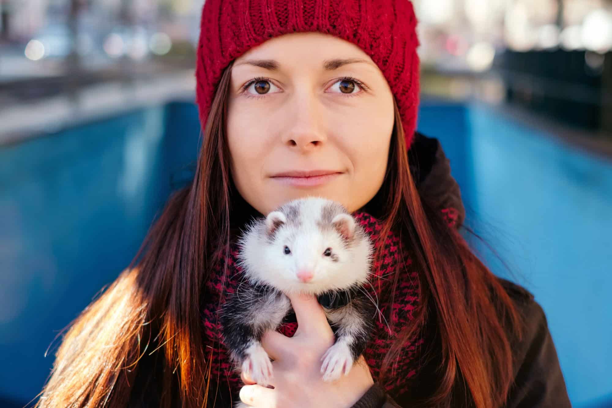 14 small pets that live longer than expected