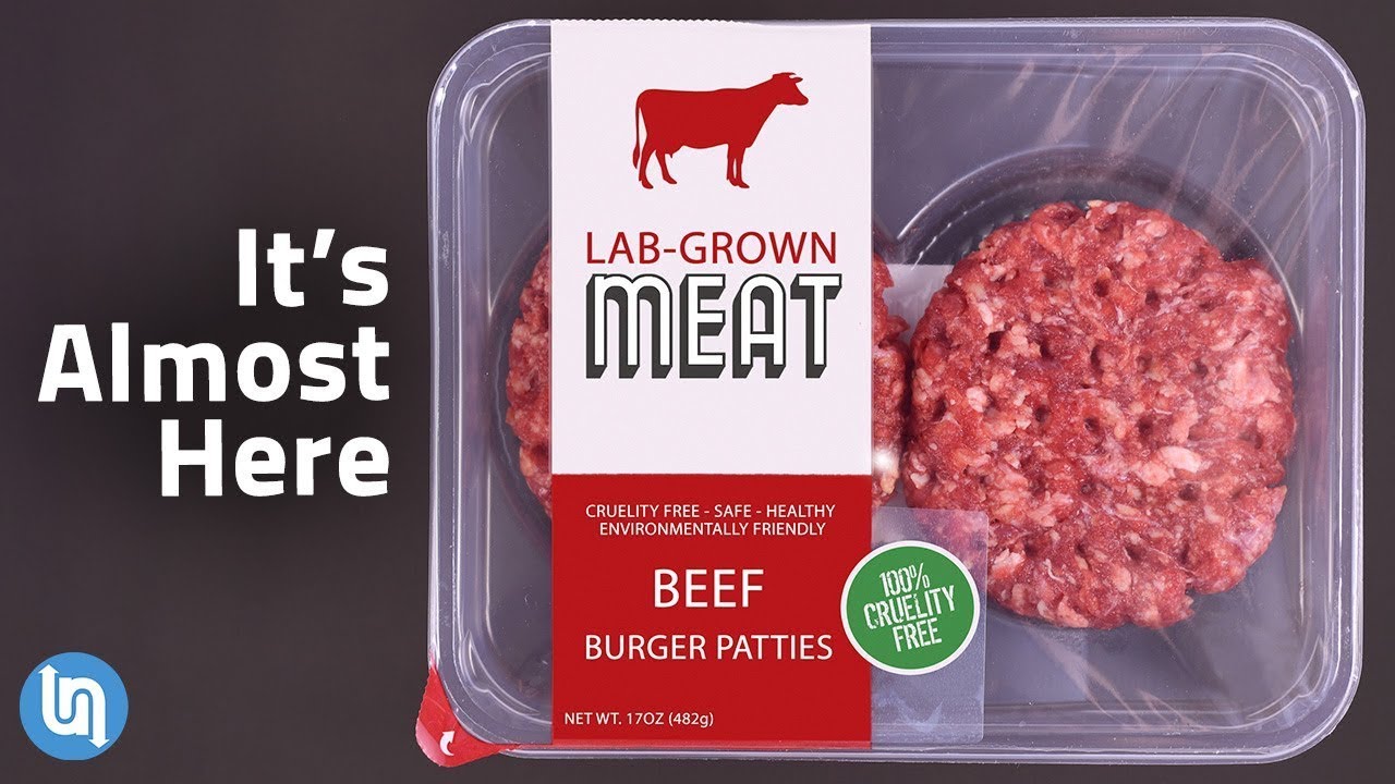 The future of meat - lab grown meat explained