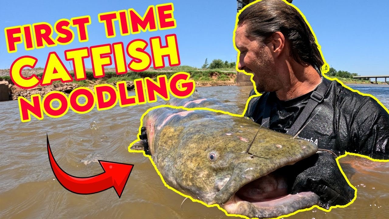 First Time Catfish Noodling - Beginner’s Wild Adventure Underwater
