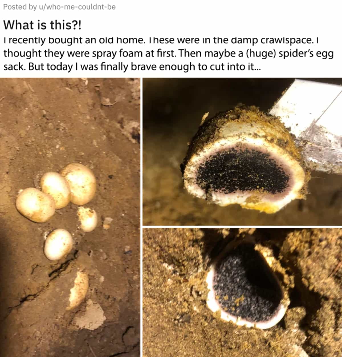 Weird objects people found, identified
