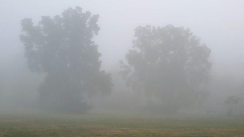 Why fog is so common during the fall season