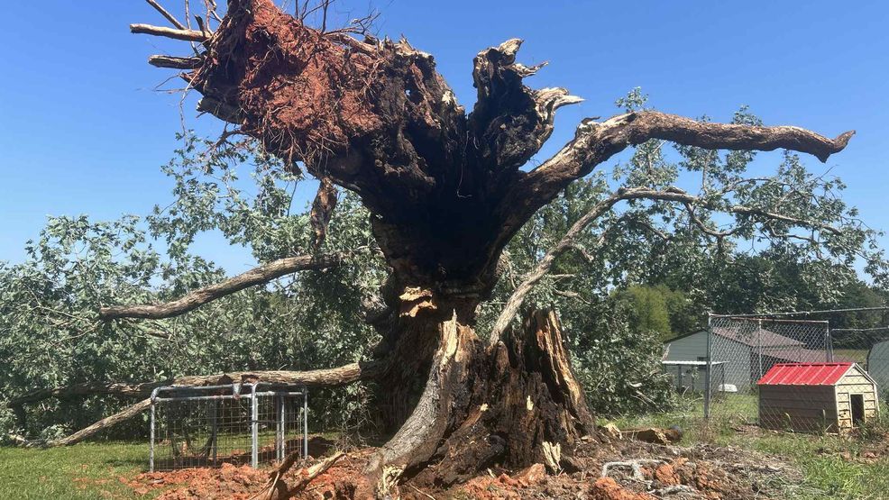 Halifax County family stuck at home after tornado strews debris over ...