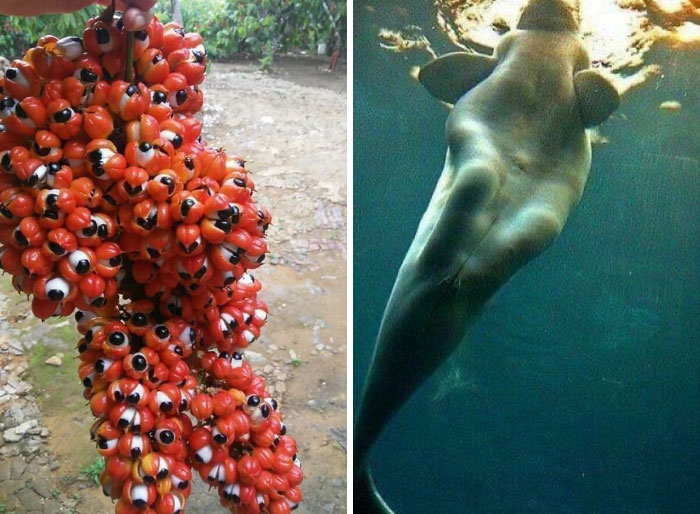 42 Oddly Terrifying Pictures That Gave People The Creeps