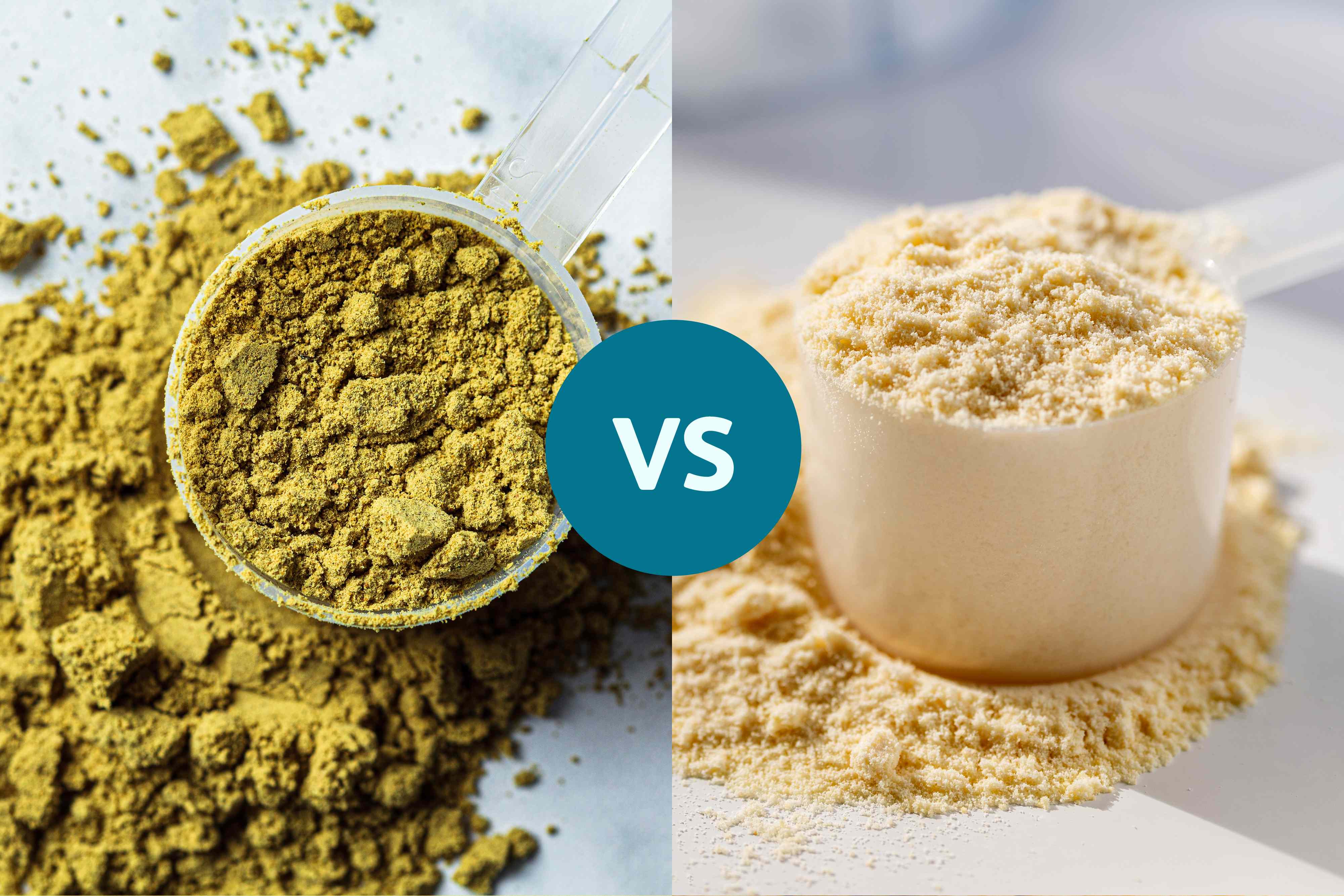 Whey Protein vs. Pea Protein: Which Is Better for You?