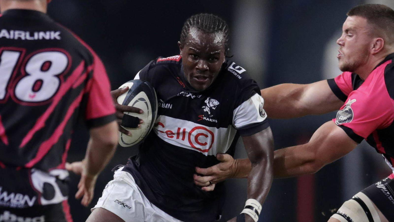Currie Cup: Sharks dent Pumas' semi-final chances with hard-fought win